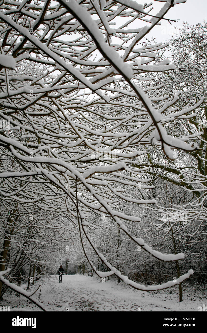 Snowy Chestnut Walk in Holland Park, Kensington, London, UK Stock Photo ...