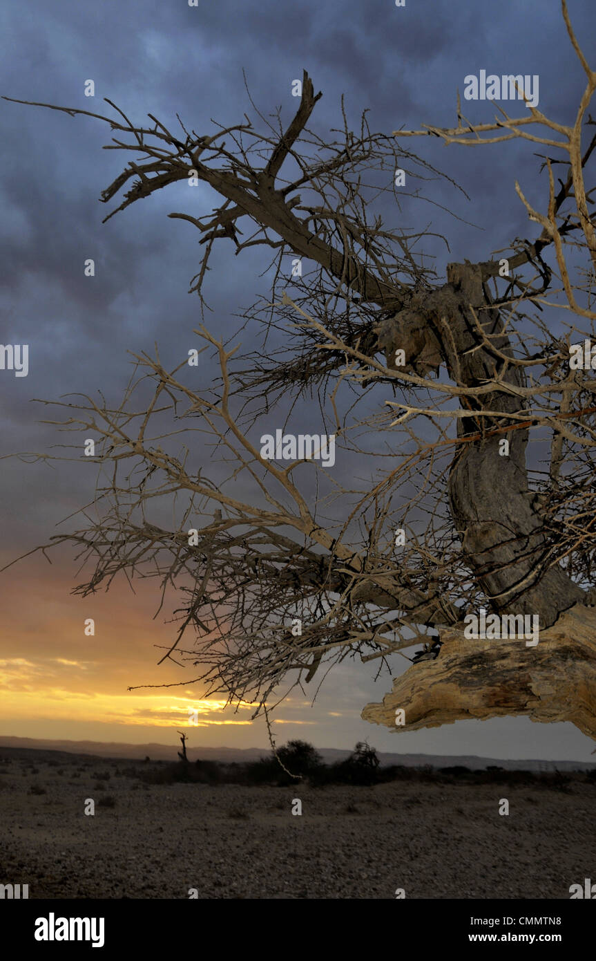 Negev desert. Eilat Mts, Israel Stock Photo - Alamy