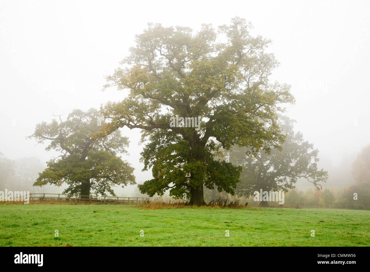 Autumn trees at Jacob Smith Park, Knaresborough, North Yorkshire ...