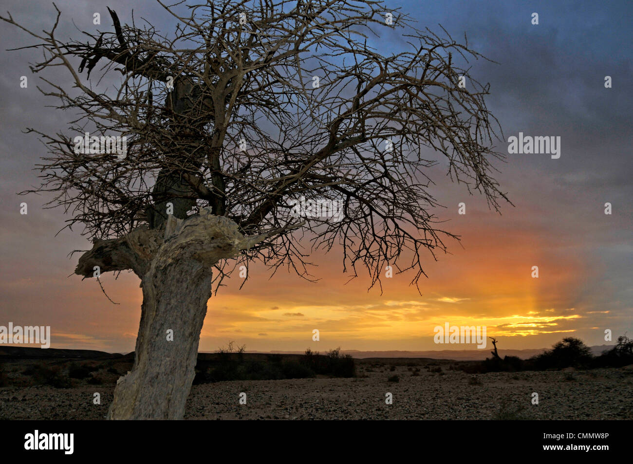 Negev desert. Eilat Mts, Israel Stock Photo - Alamy