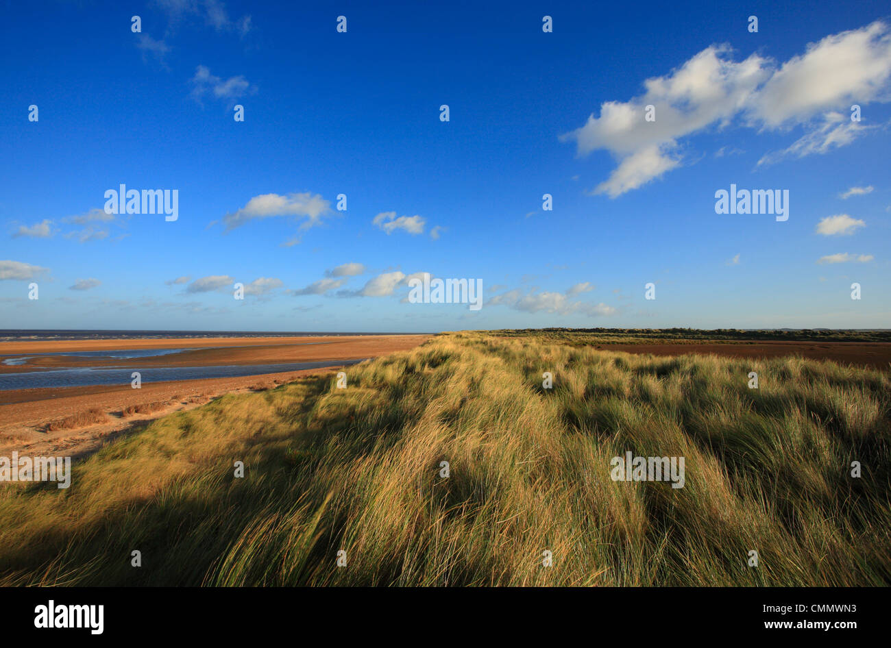 Holme Dunes Nature Reserve on the Norfolk coast Stock Photo - Alamy