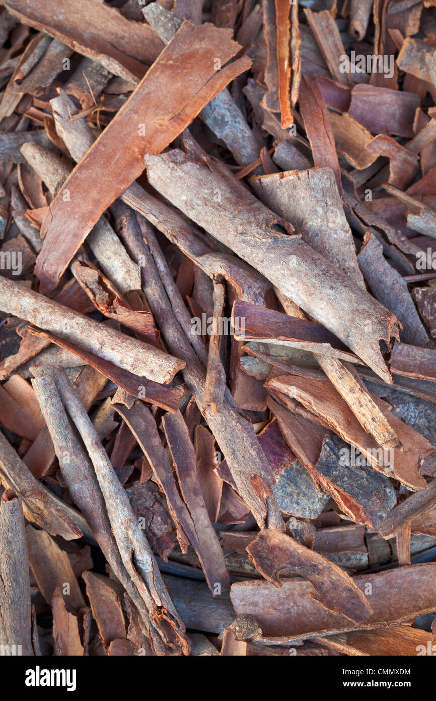 Cinnamon sticks, Cinnamomun Stock Photo - Alamy