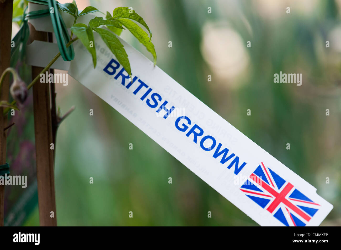 Plant label hi-res stock photography and images - Alamy
