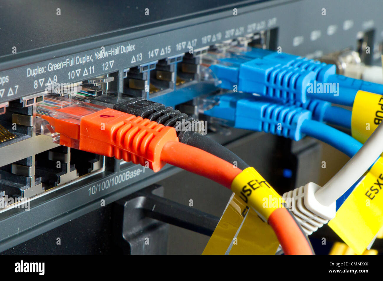 network cables connected to hub Stock Photo - Alamy