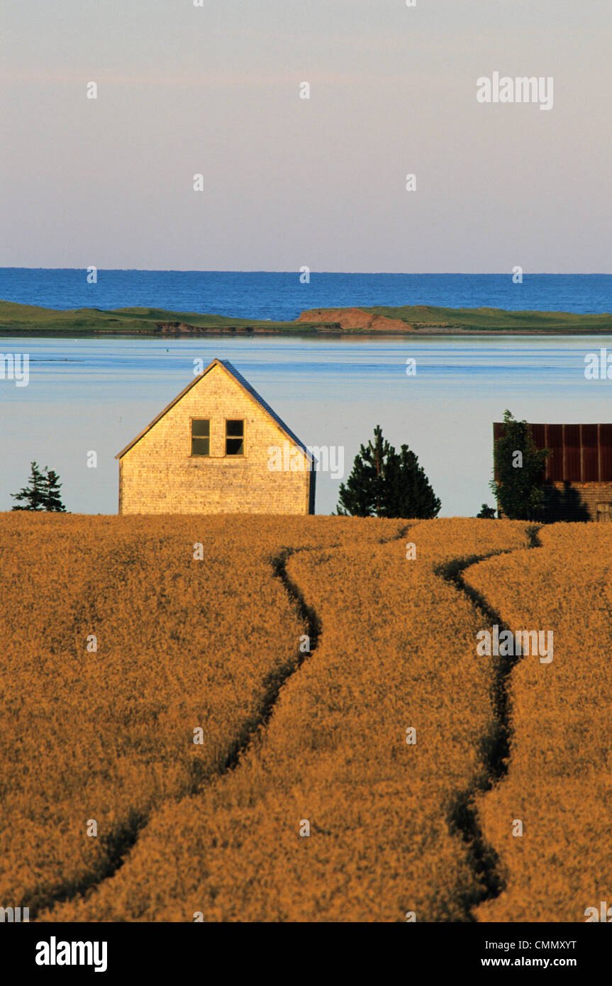 Farmland, Queens County, Prince Edward Island Stock Photo - Alamy