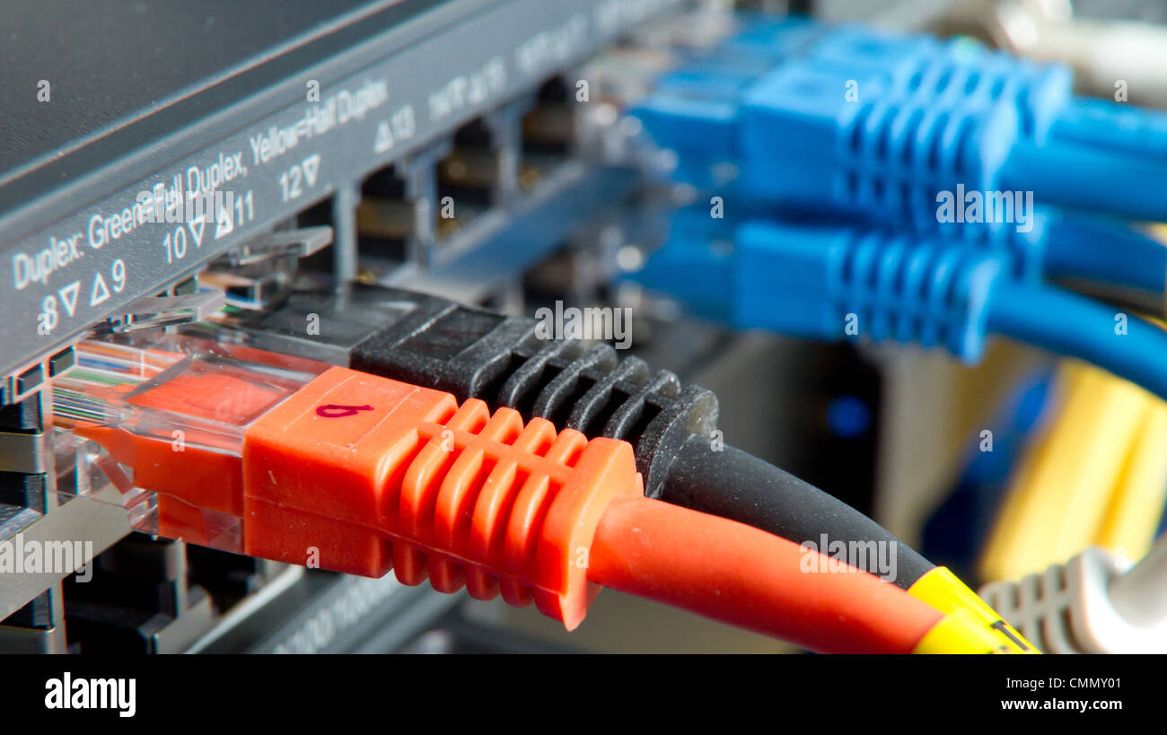 network cables connected to hub Stock Photo - Alamy