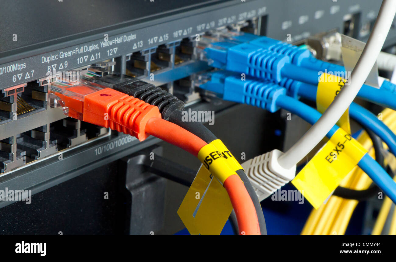network cables connected to hub Stock Photo - Alamy