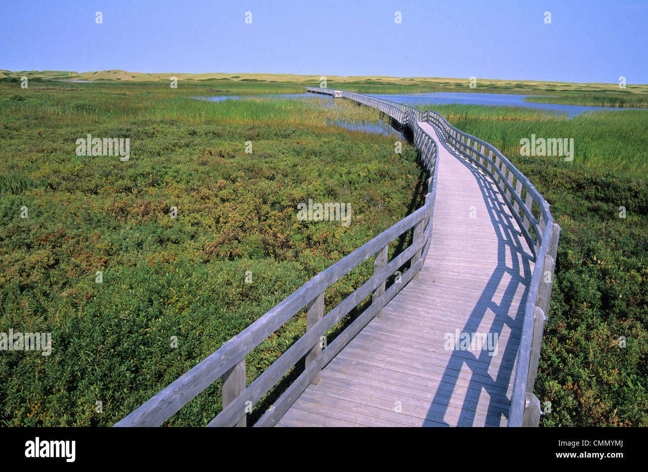 Bowley pond boardwalk hi-res stock photography and images - Alamy
