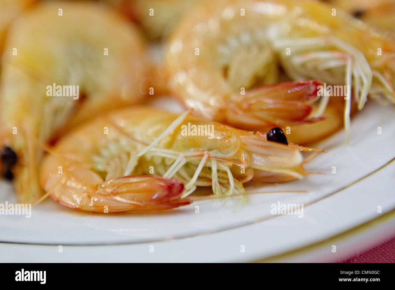 Freshly cooked prawns on dish Stock Photo - Alamy