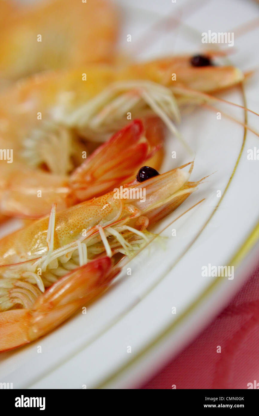 Salty shrimp dish hi-res stock photography and images - Alamy