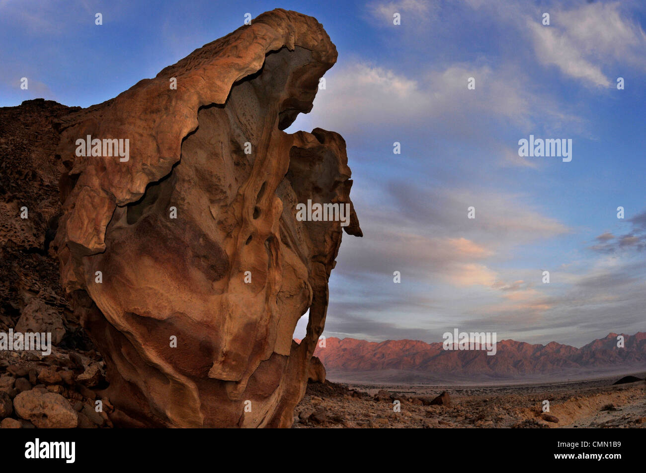 Sandstone rock formation in the Negev desert, Israel Stock Photo - Alamy