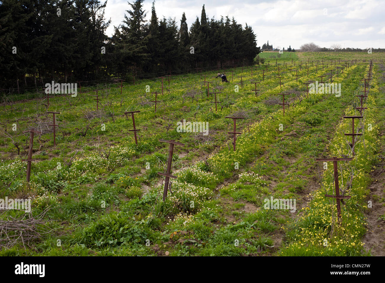 Poor vegetation hi-res stock photography and images - Alamy