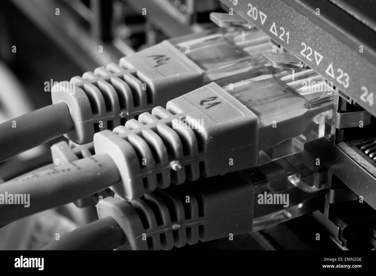 network cables connected to hub Stock Photo - Alamy