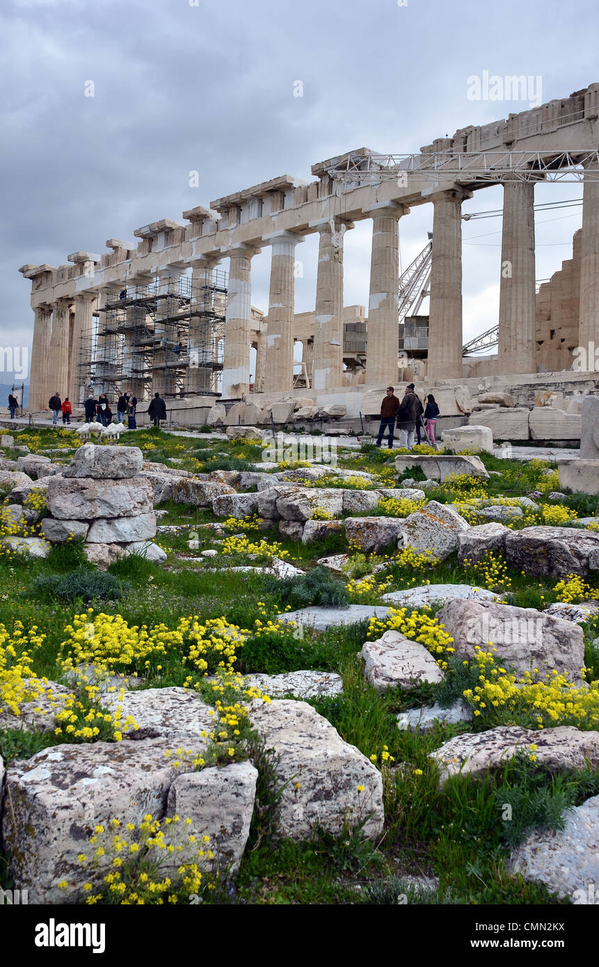 ancient temple Parthenon Acropolis Athens Greece with scaffolding under renovation Stock Photo ...