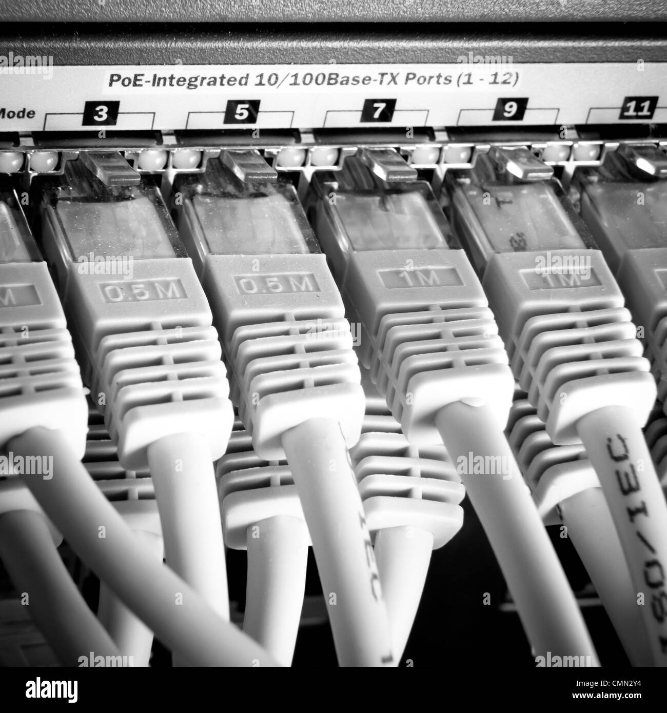 close up of network cables connected to switch Stock Photo - Alamy