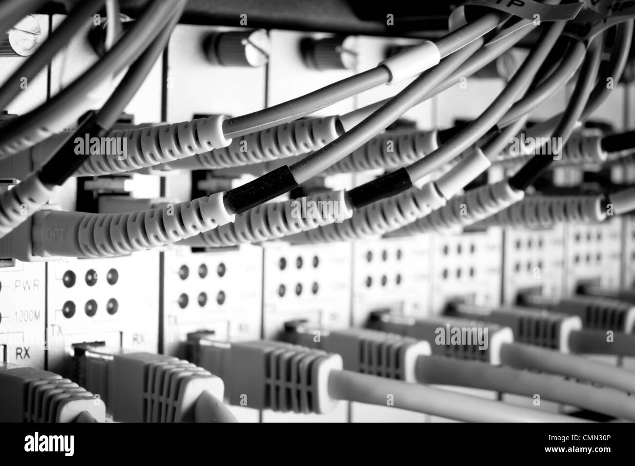 close up of network cables connected to switch Stock Photo - Alamy