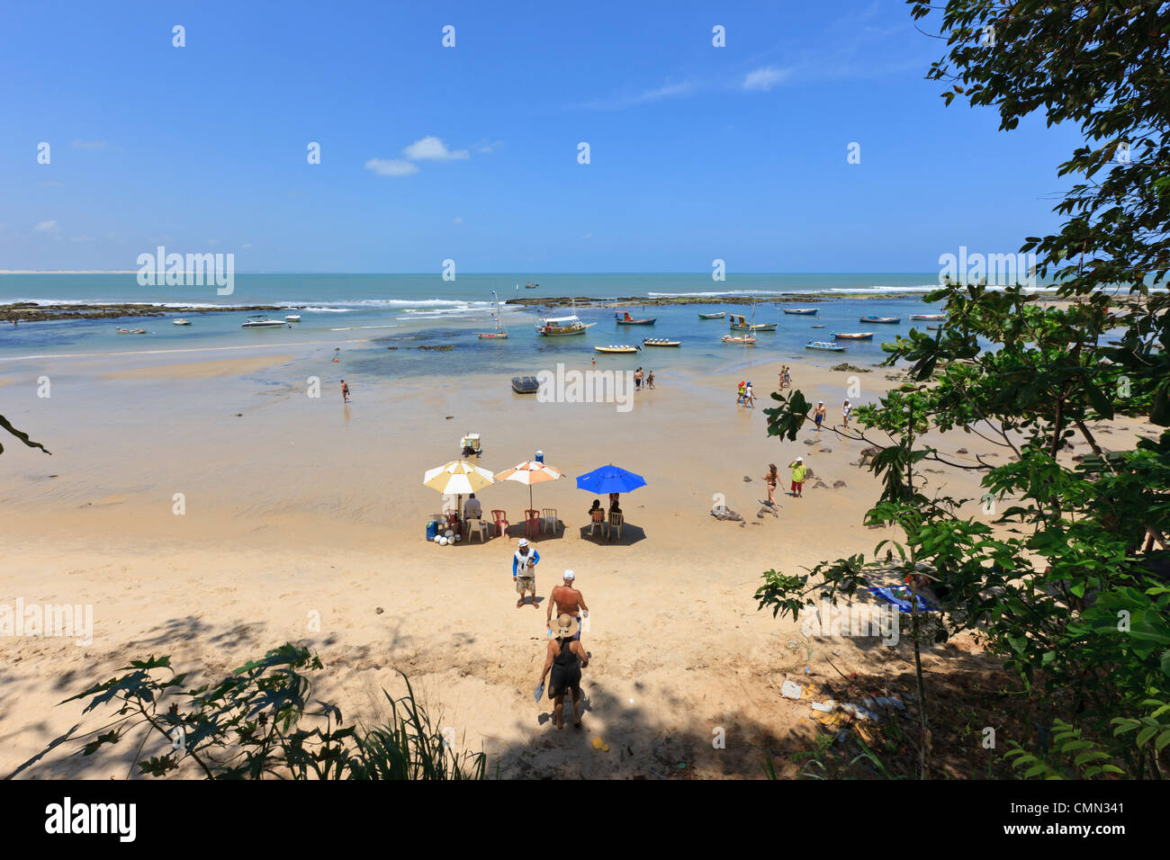 Pipa beach, Rio Grande do Norte, Brazil, Brasil Stock Photo - Alamy