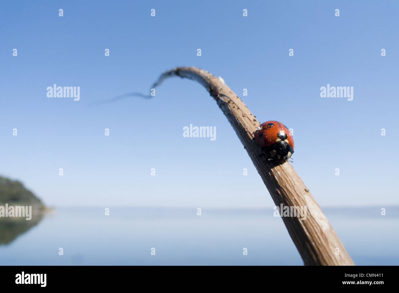 Fortune and a difficult path hi-res stock photography and images - Alamy