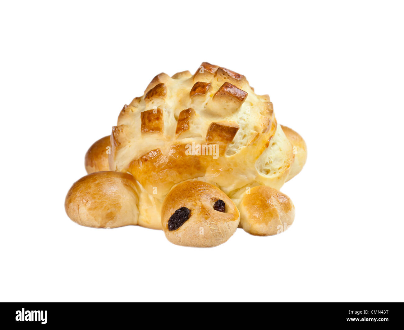 Turtle bread hi-res stock photography and images - Alamy