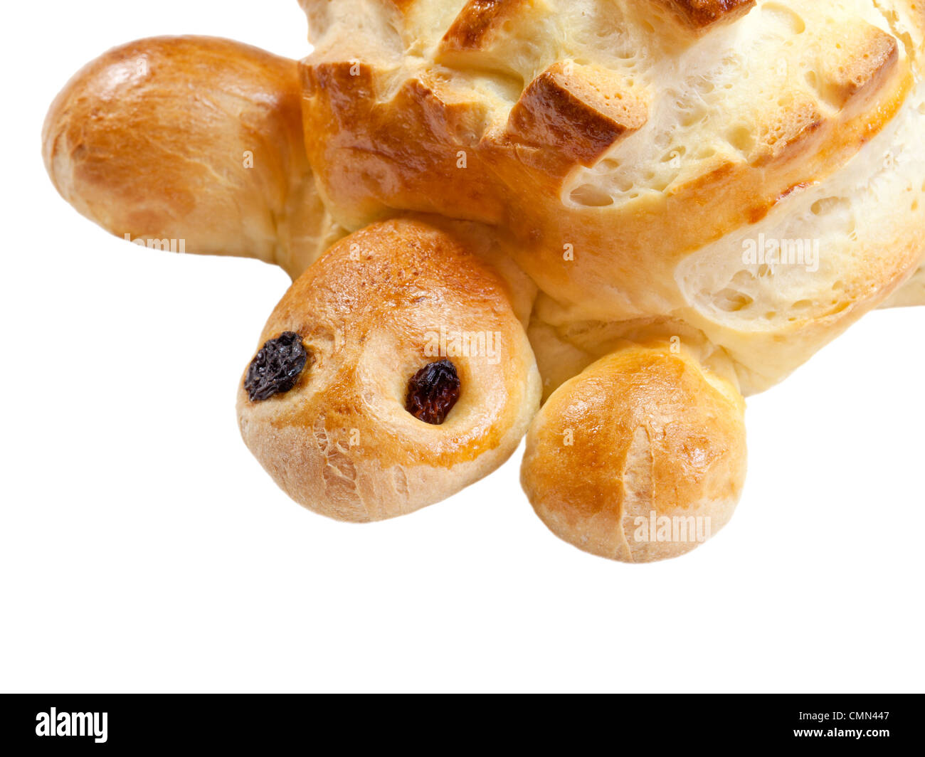 Turtle bread hi-res stock photography and images - Alamy