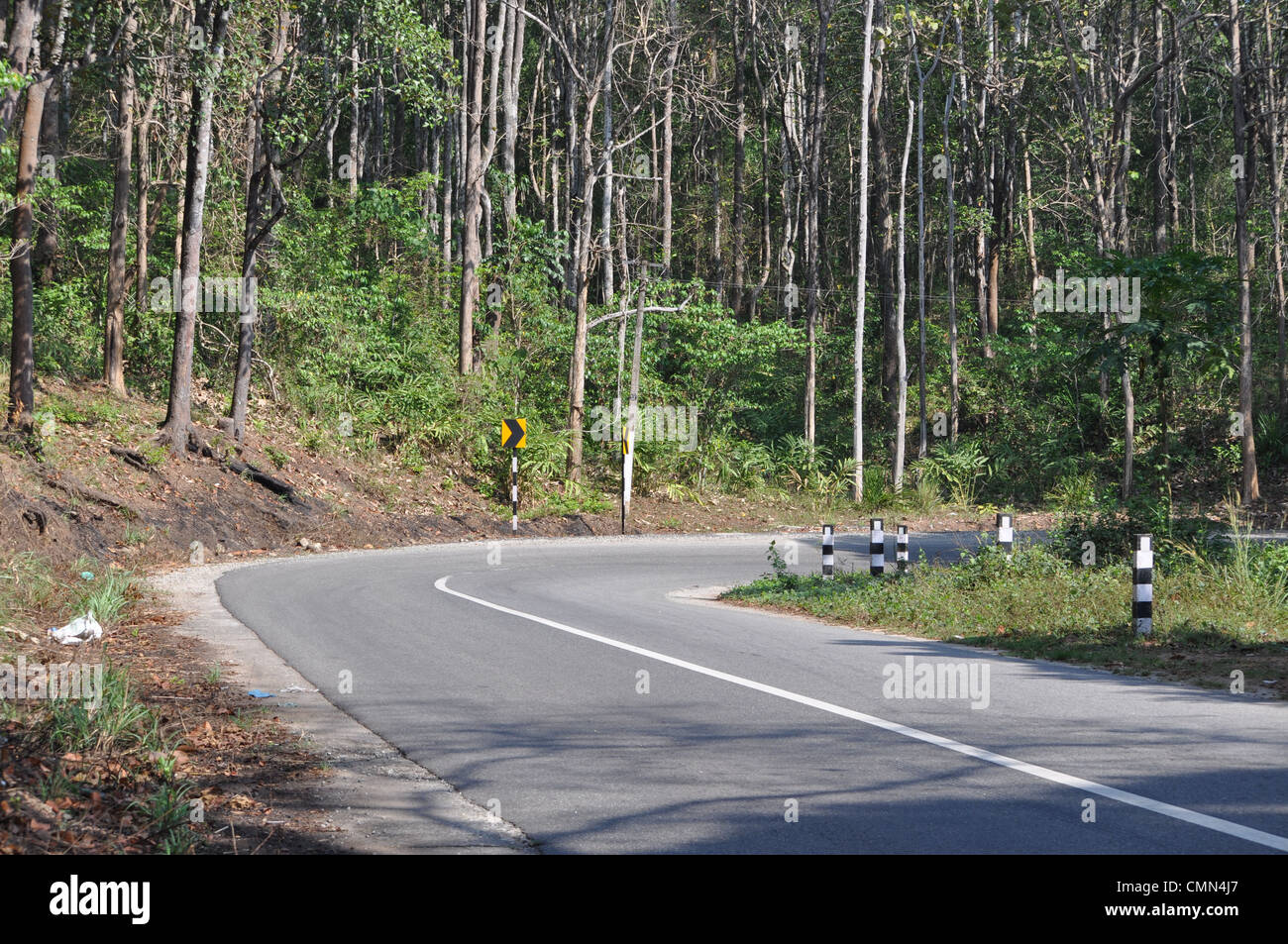 A beautiful country road with a sharp curve Stock Photo - Alamy