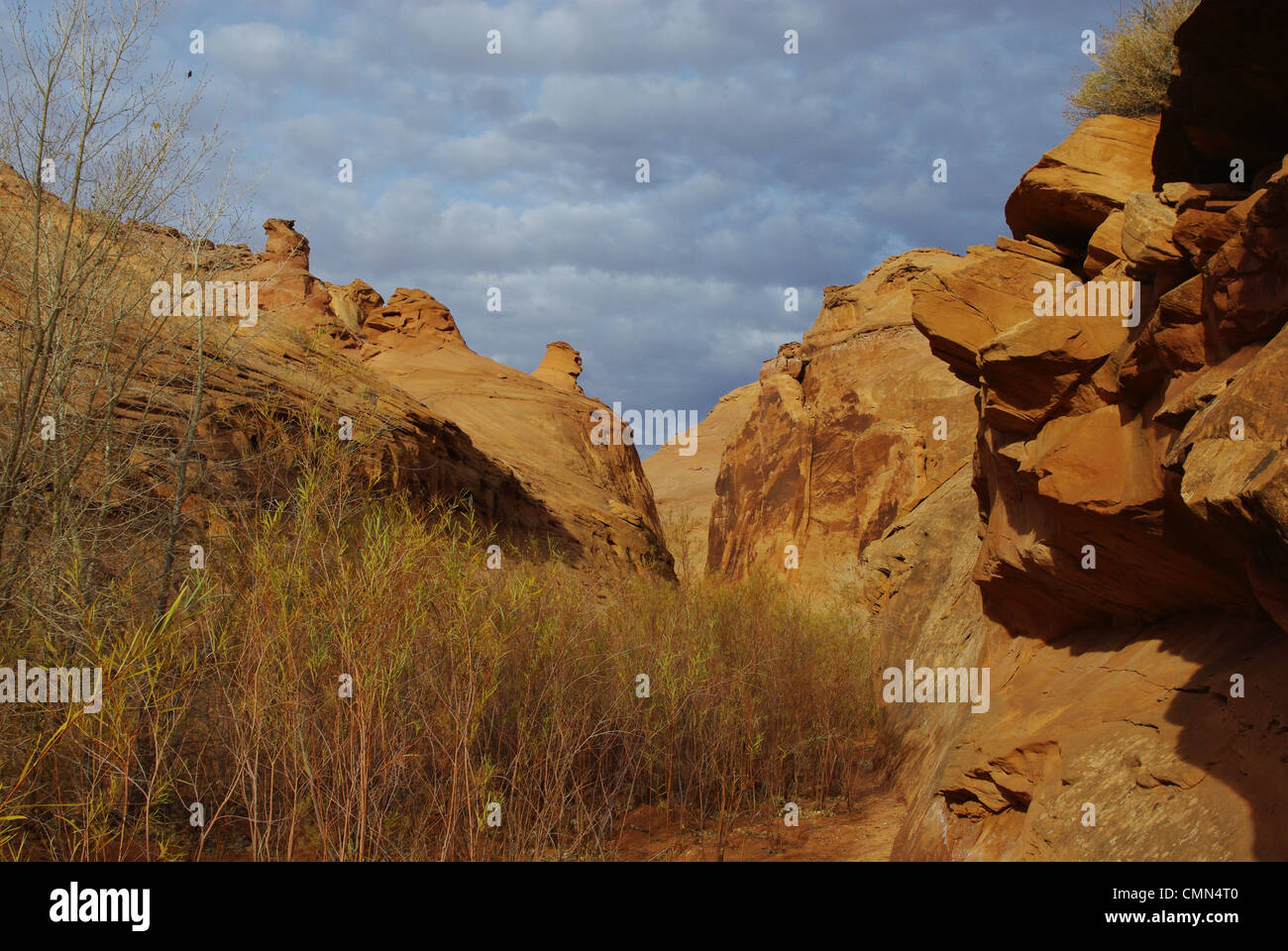 Faces in rock hi-res stock photography and images - Alamy