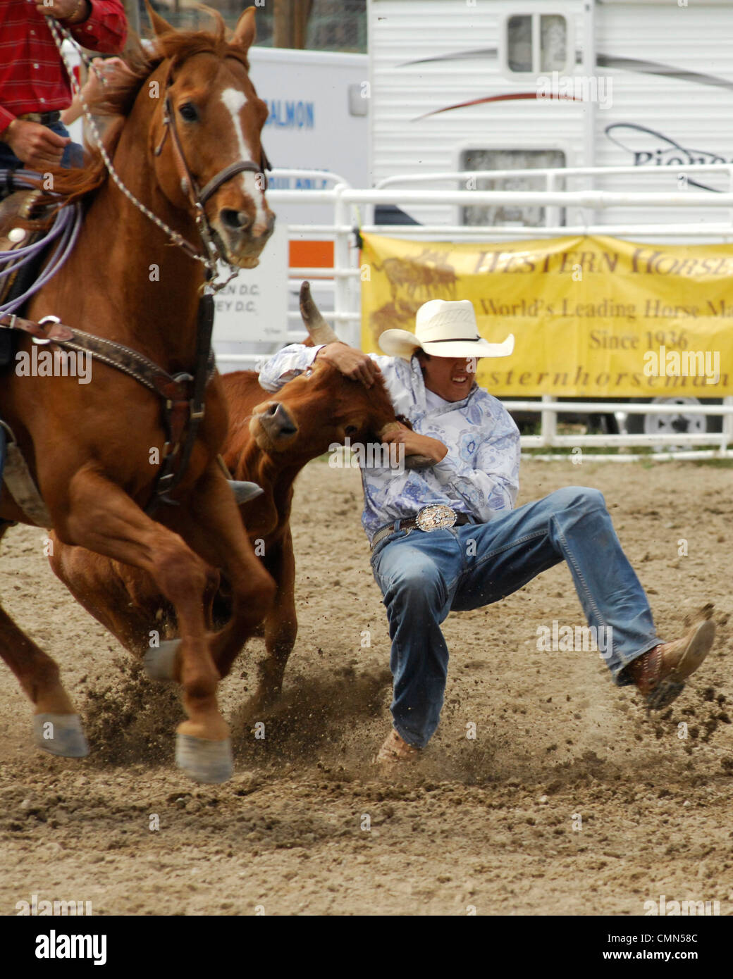 USA, Salmon, Idaho, Steer Wrestling, High School Rodeo Stock Photo - Alamy