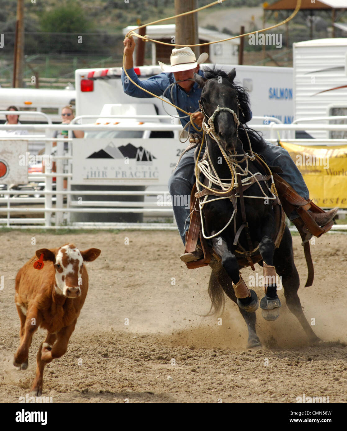 USA, Salmon, Idaho, Tie-Down Roping, High School Rodeo Stock Photo - Alamy