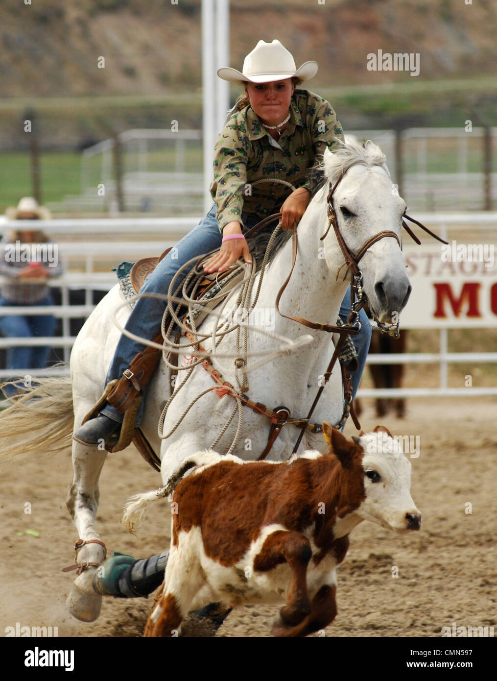 USA, Salmon, Idaho, Tie-Down Roping, High School Rodeo Stock Photo - Alamy