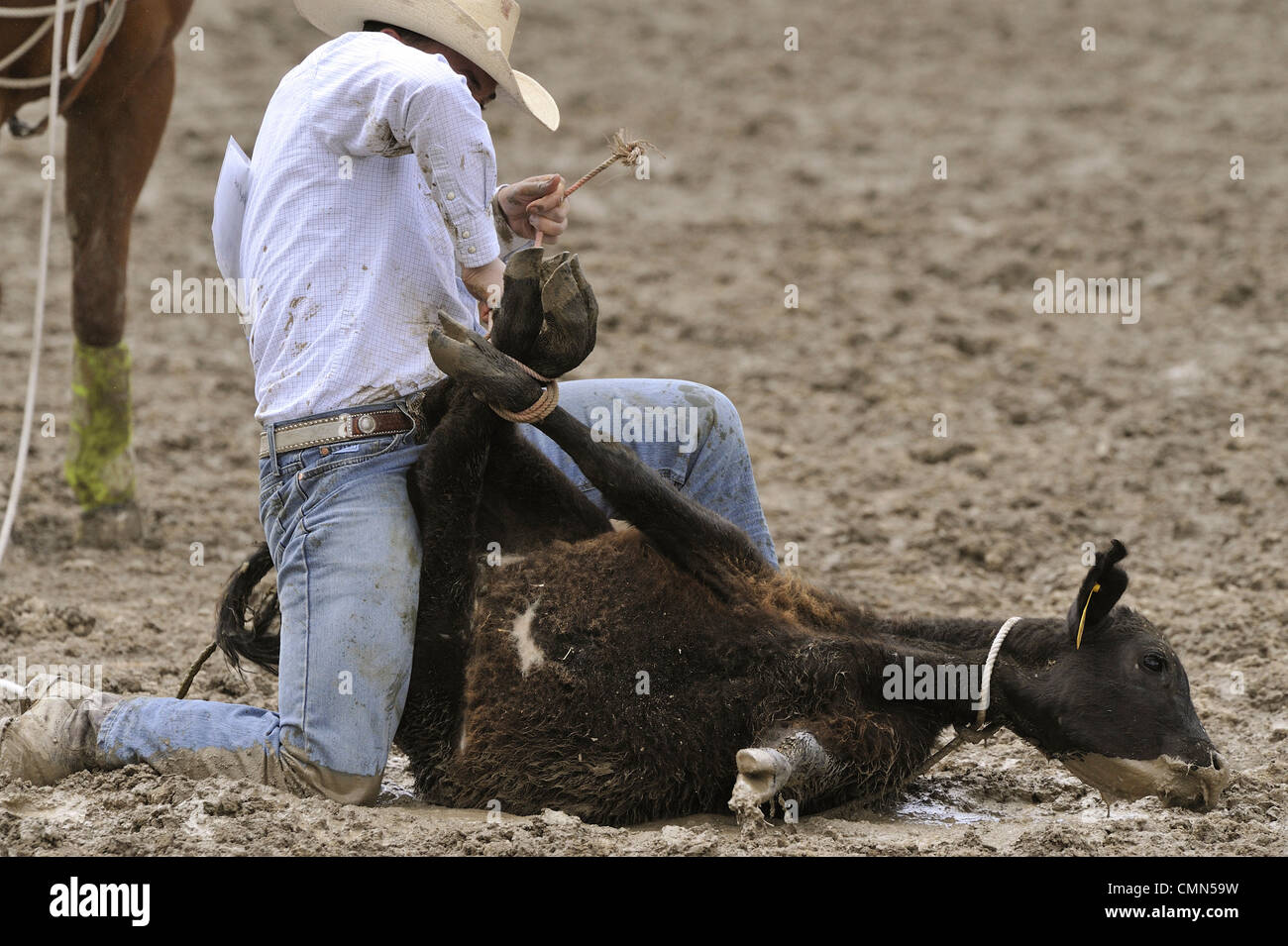 USA, Salmon, Idaho, Tie-Down Roping, High School Rodeo Stock Photo - Alamy