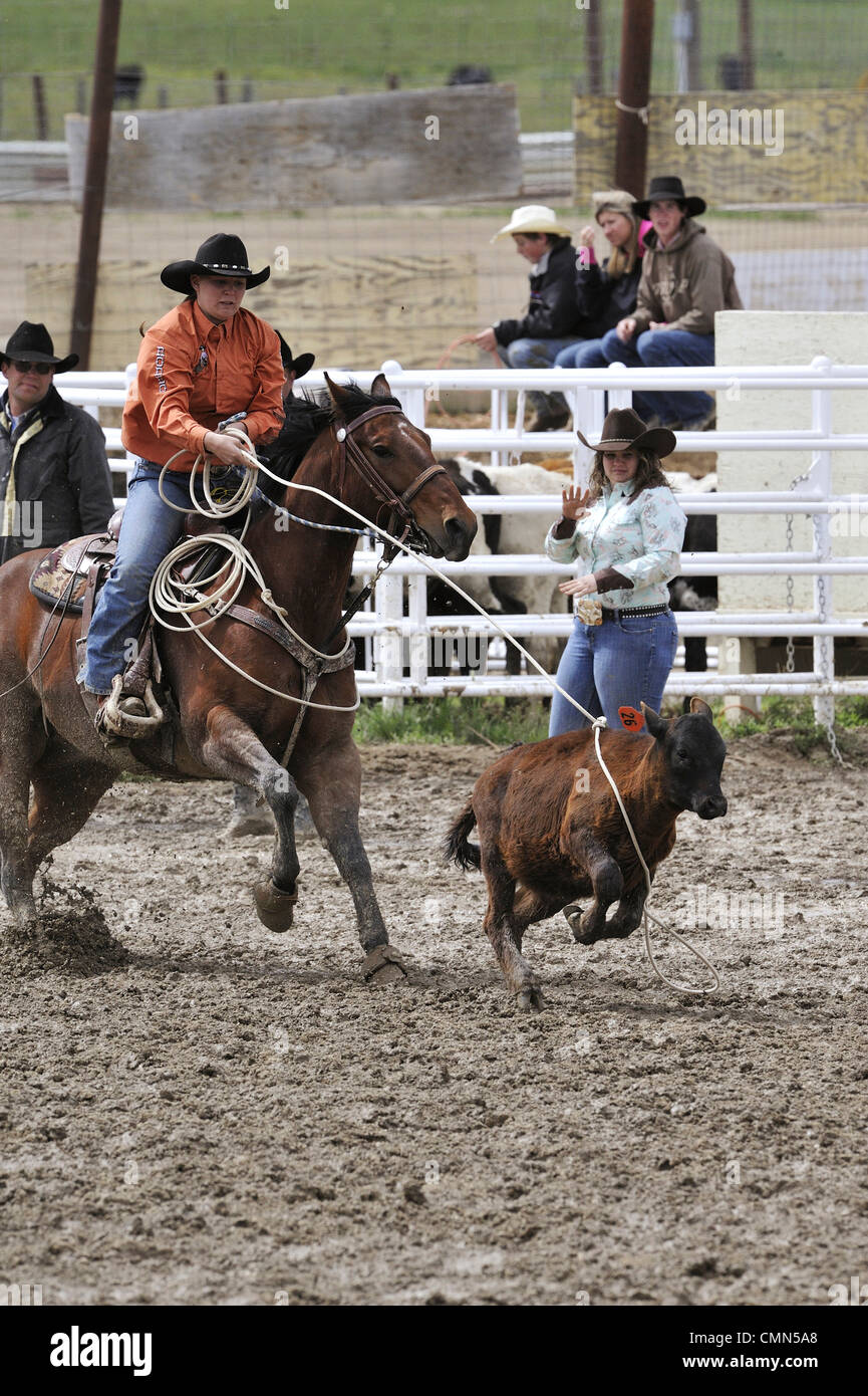 USA, Salmon, Idaho, Tie-Down Roping, High School Rodeo Stock Photo - Alamy