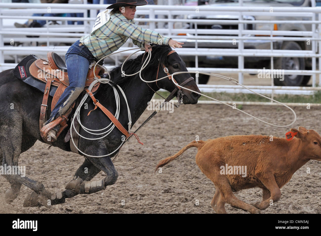 Girl roping calf hi-res stock photography and images - Alamy