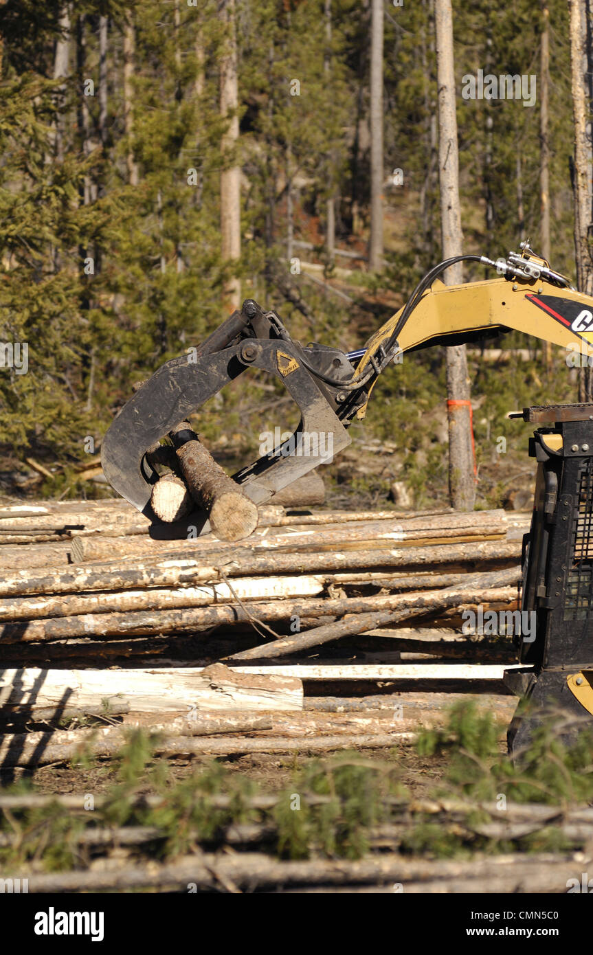 USA, Idaho, Logging, Salmon-Challis National Forest Stock Photo - Alamy