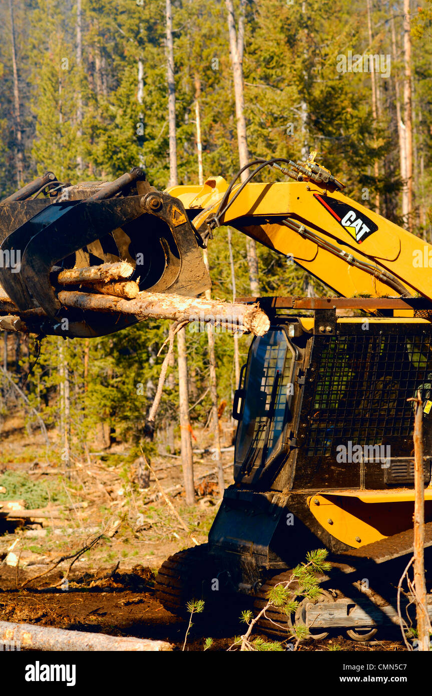 USA, Idaho, Logging, Salmon-Challis National Forest Stock Photo - Alamy