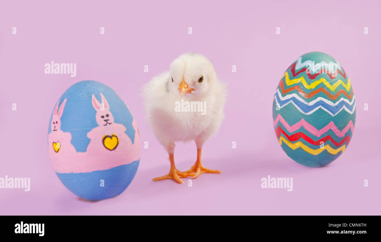 Yellow chick egg shell hi-res stock photography and images - Alamy