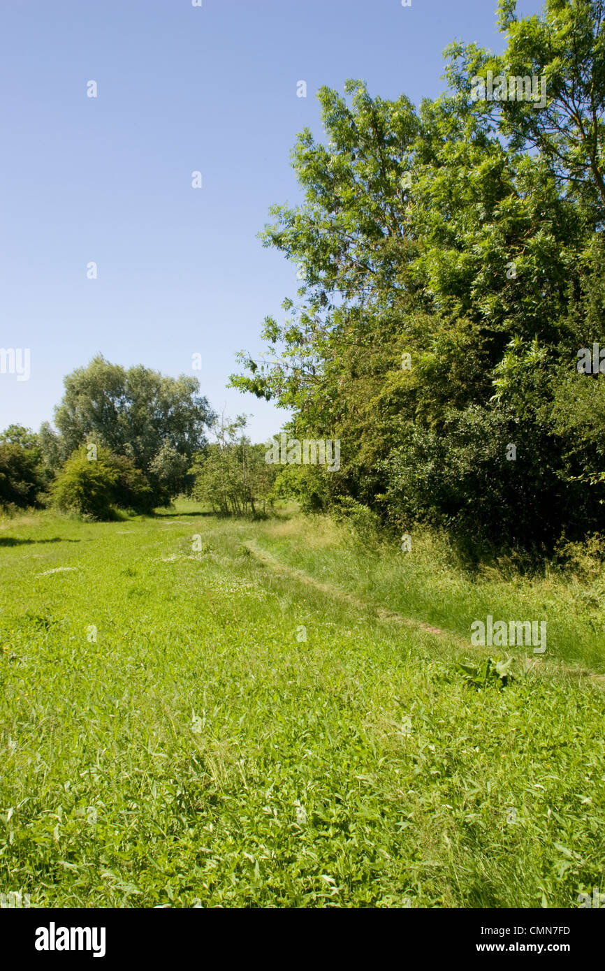 Bloody Meadow Battlefield Trail Tewkesbury Gloucestershire England UK ...