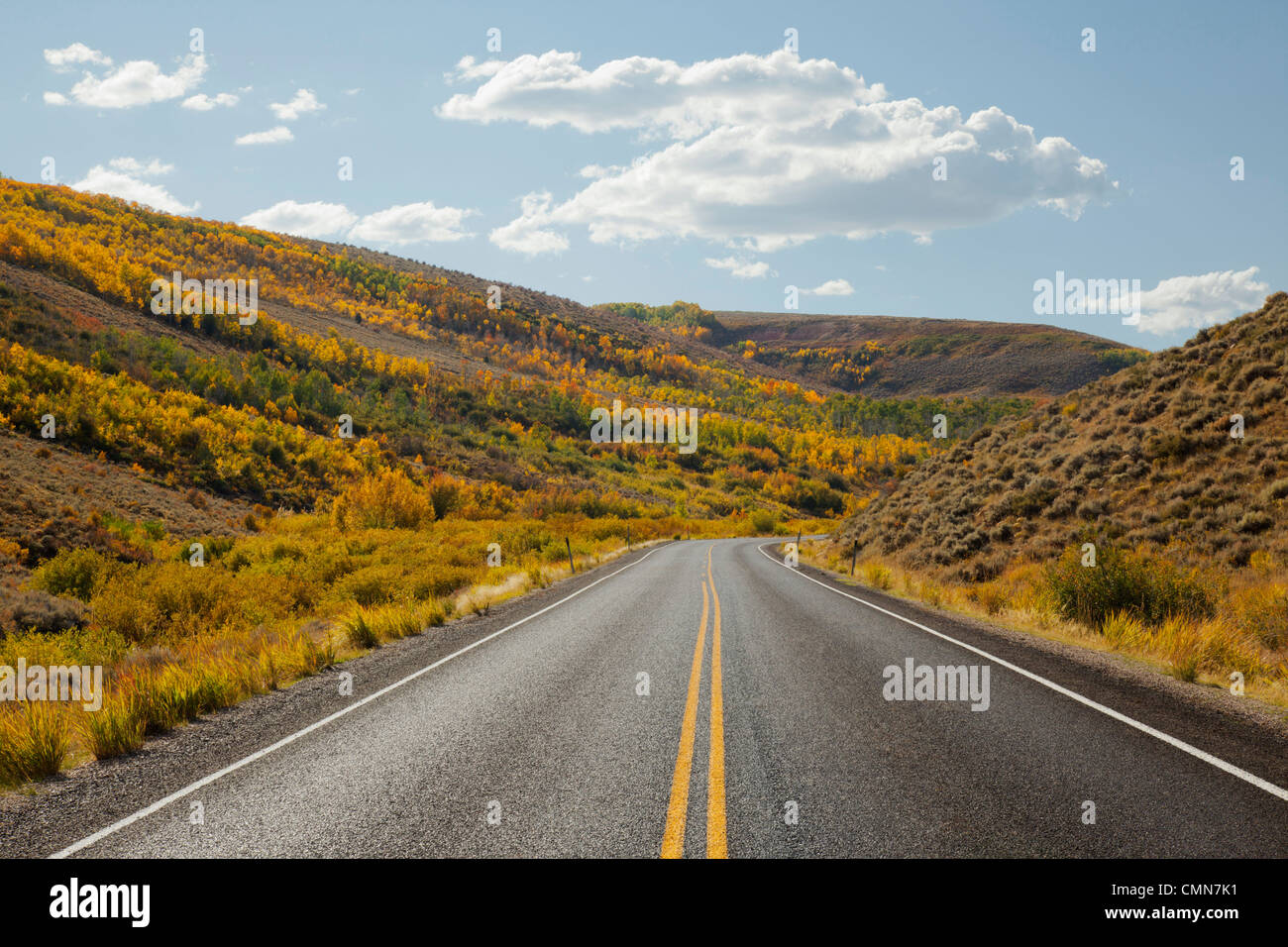 UT, Wasatch-Cache NF, Monte Cristo area and highway 39 Stock Photo - Alamy
