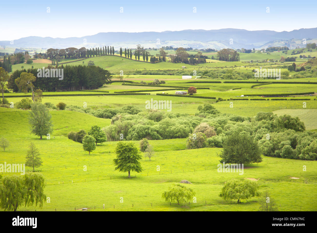 Nz farming hi-res stock photography and images - Alamy