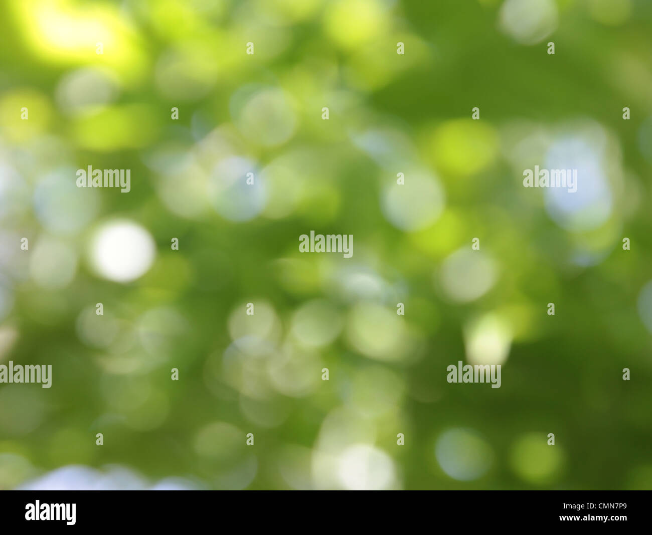 Blurred Green Leaf Background Stock Photo - Alamy