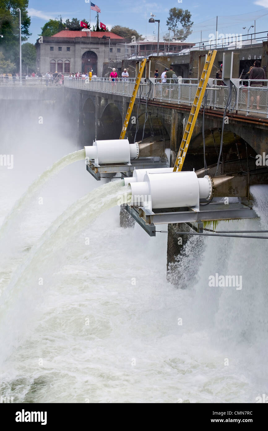 USA, Washington, Seattle. Fish flumes on Ballard Locks spillways assist ...