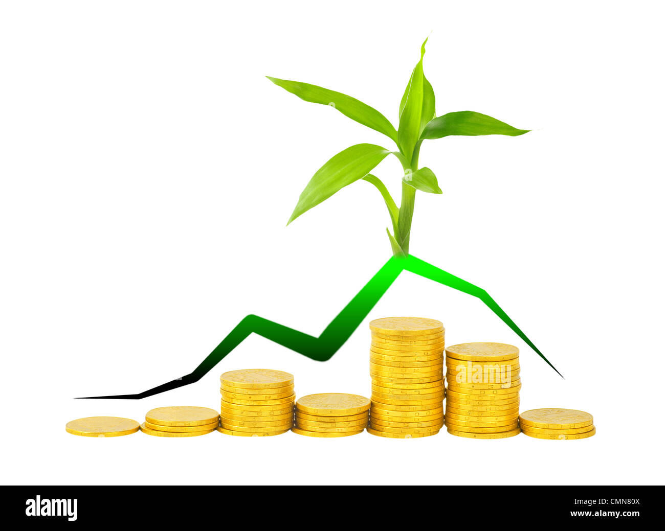 Gold coin plant hi-res stock photography and images - Alamy