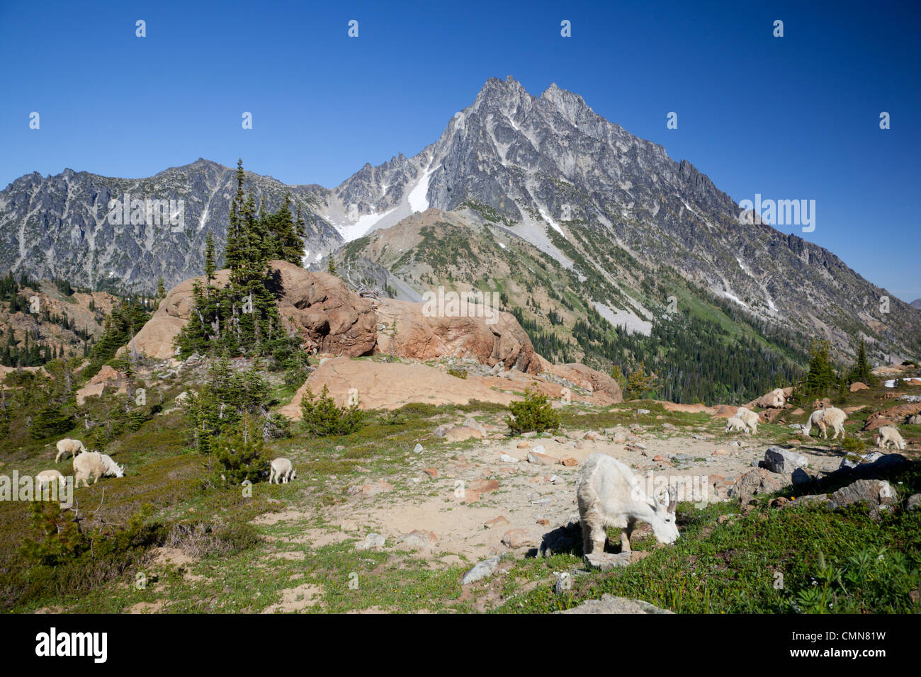 Mount stuart hi-res stock photography and images - Alamy