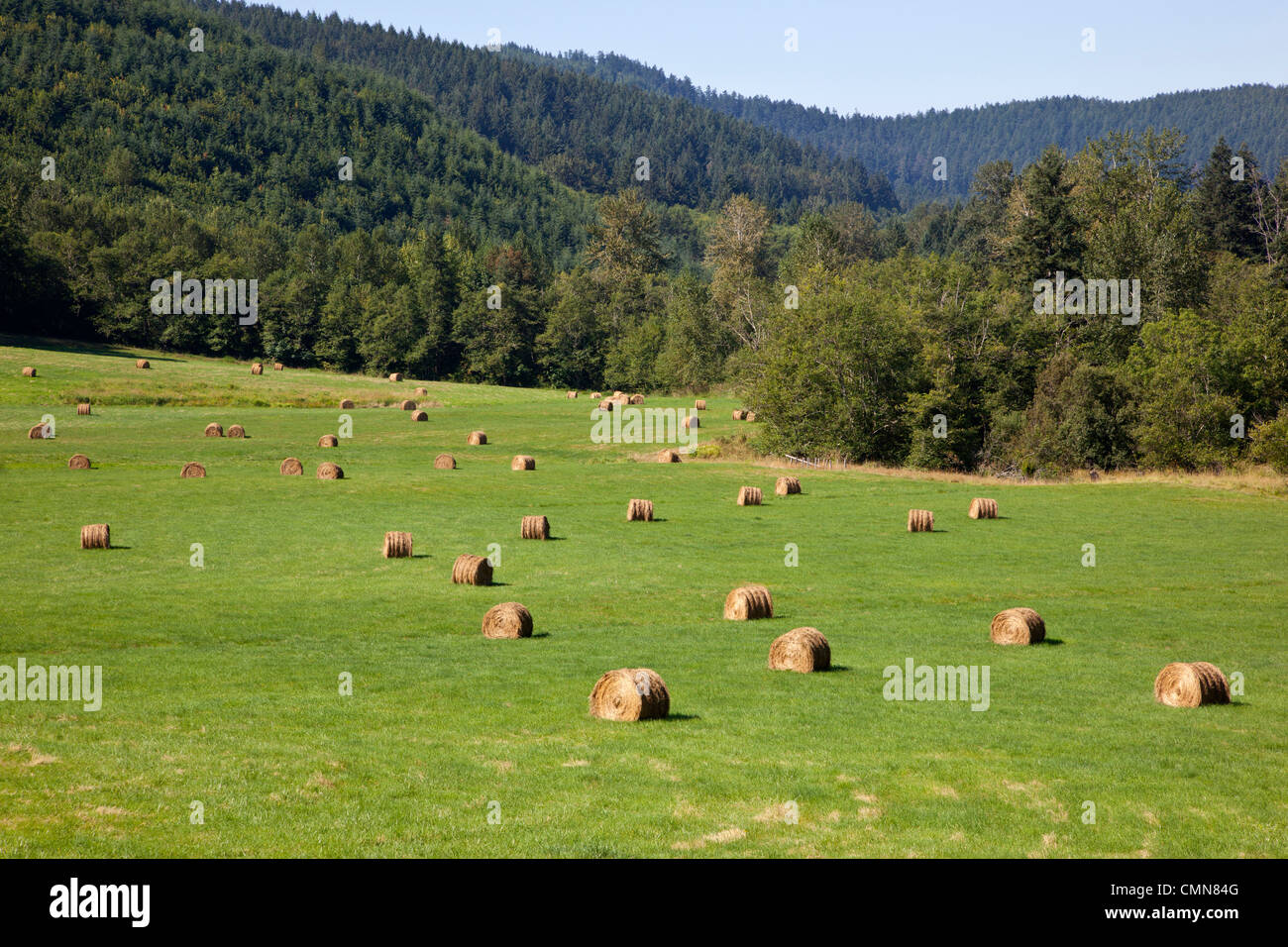Pierce county washington hi-res stock photography and images - Alamy