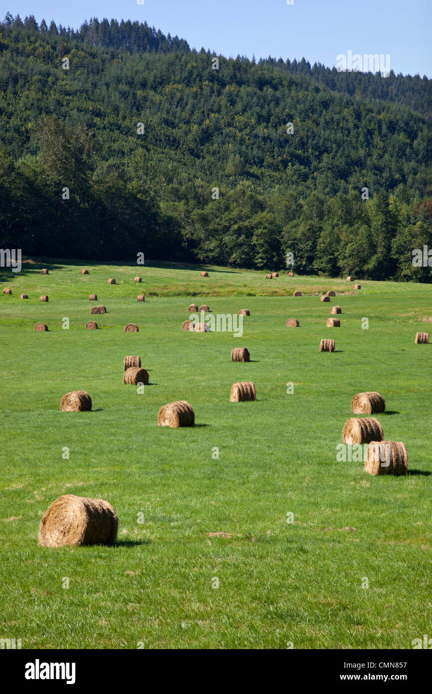 Pierce county washington hi-res stock photography and images - Alamy