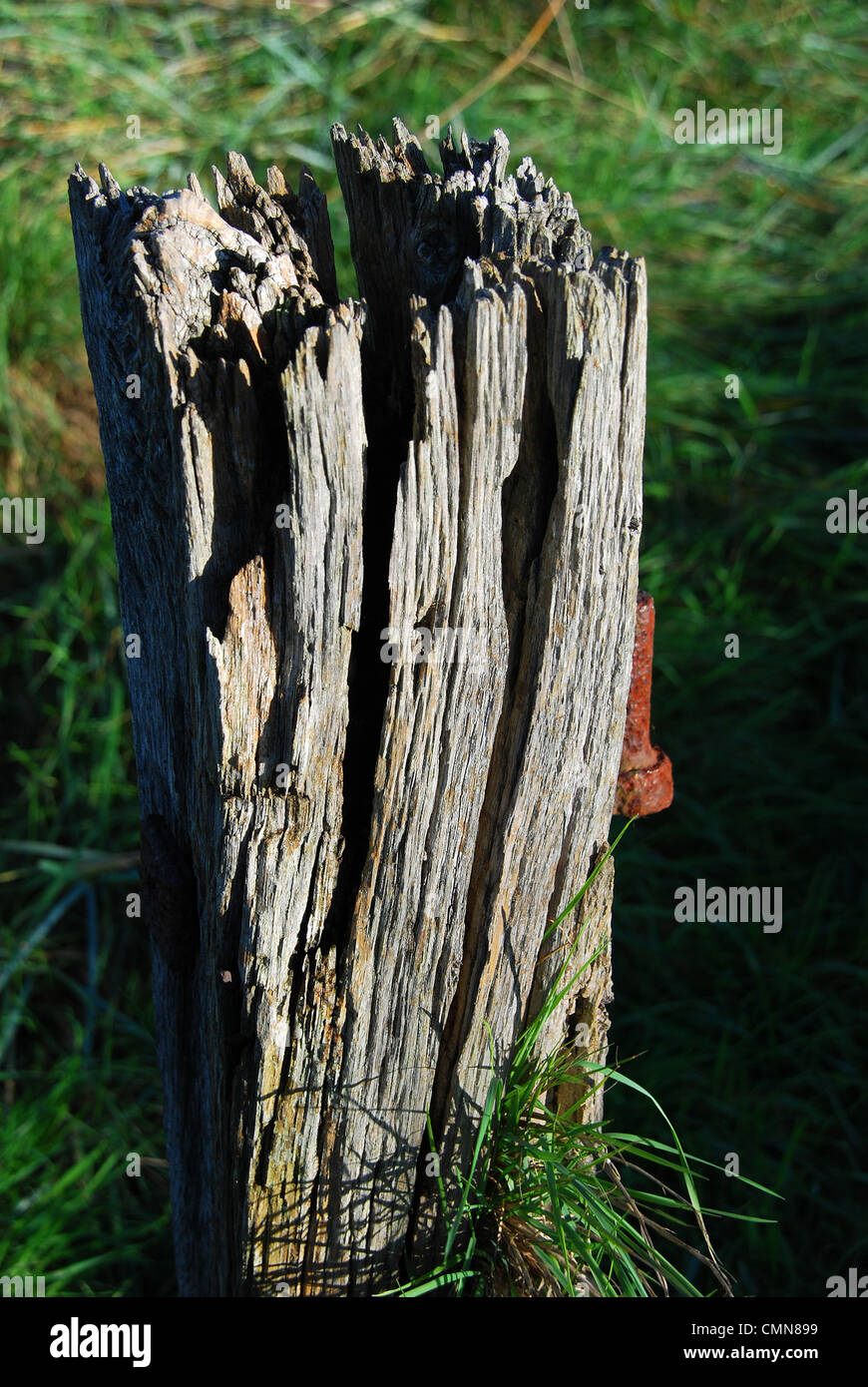 A decaying post Stock Photo - Alamy
