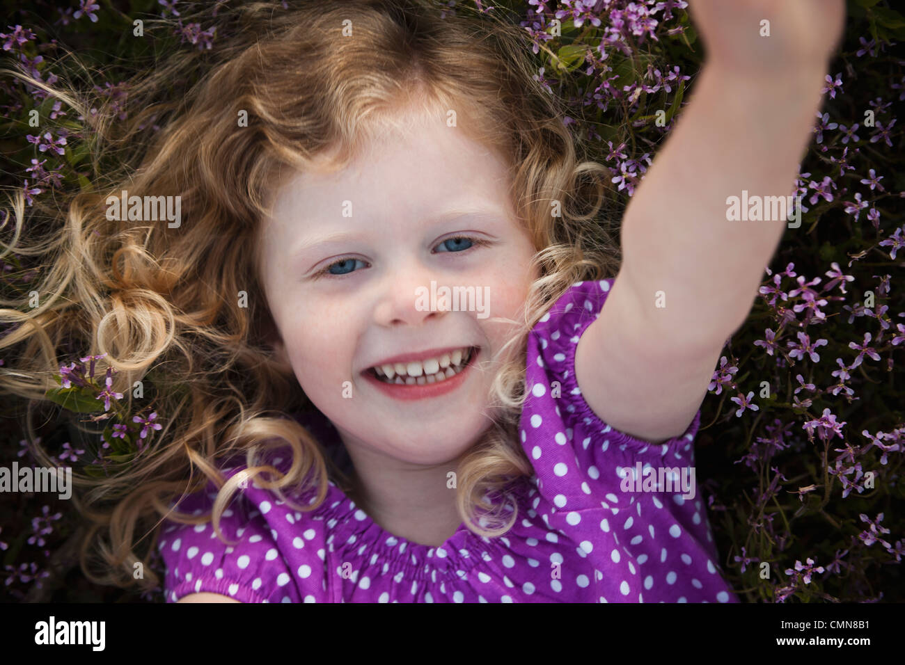 Laying flowers hi-res stock photography and images - Alamy