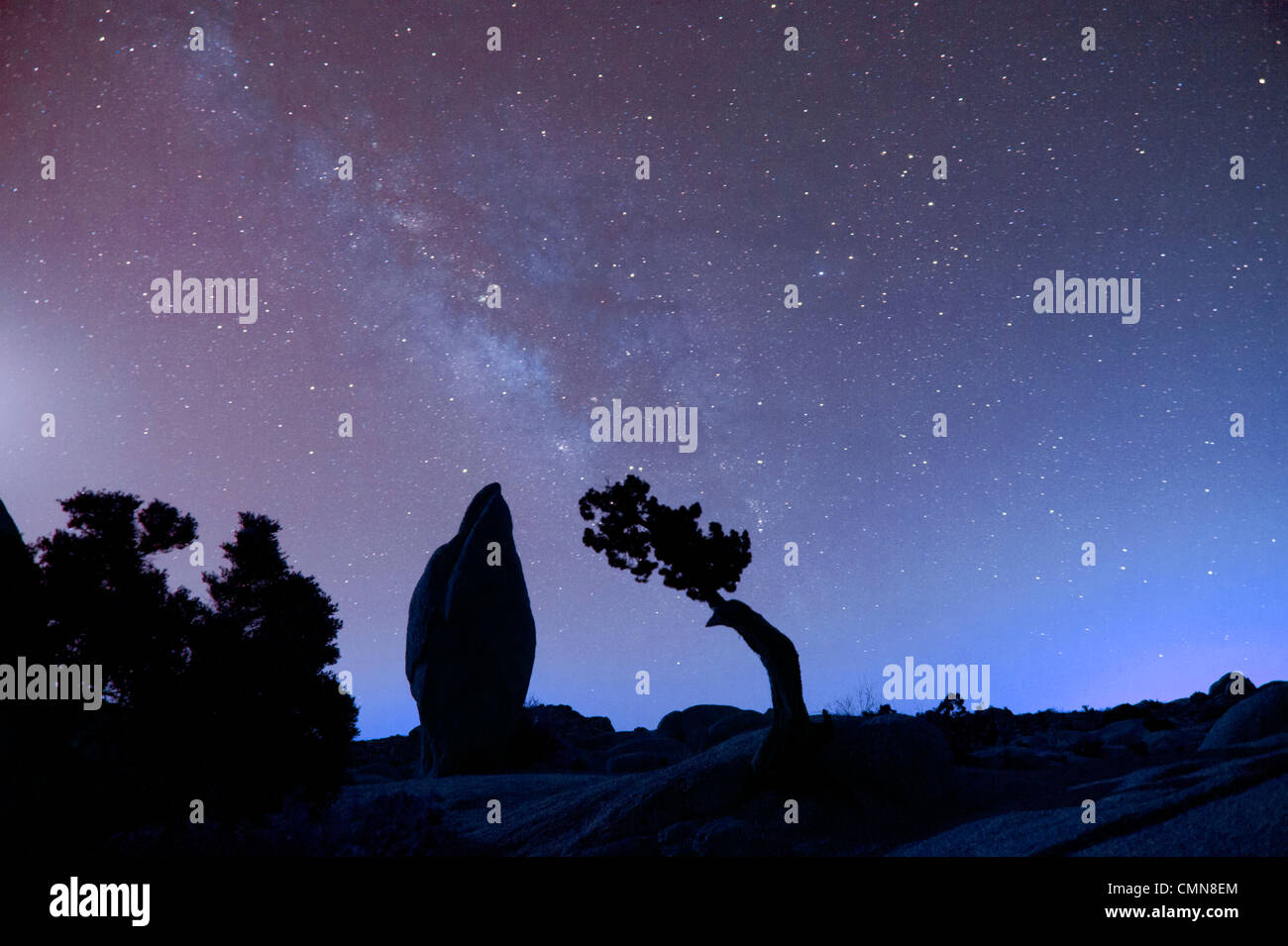 Stars in sky over desert Stock Photo - Alamy