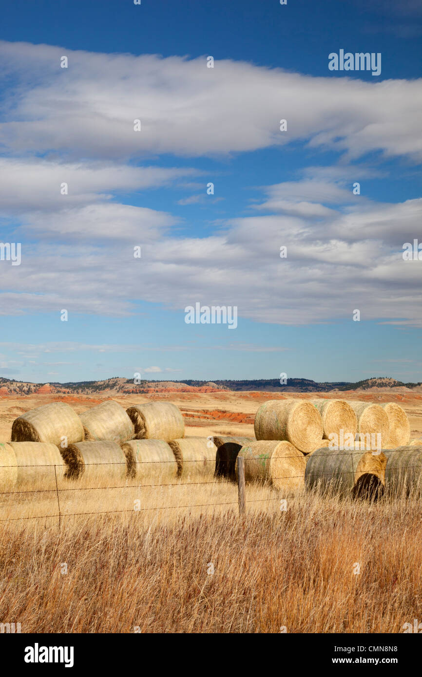 WY, Crook County, Hay Bales Stock Photo - Alamy