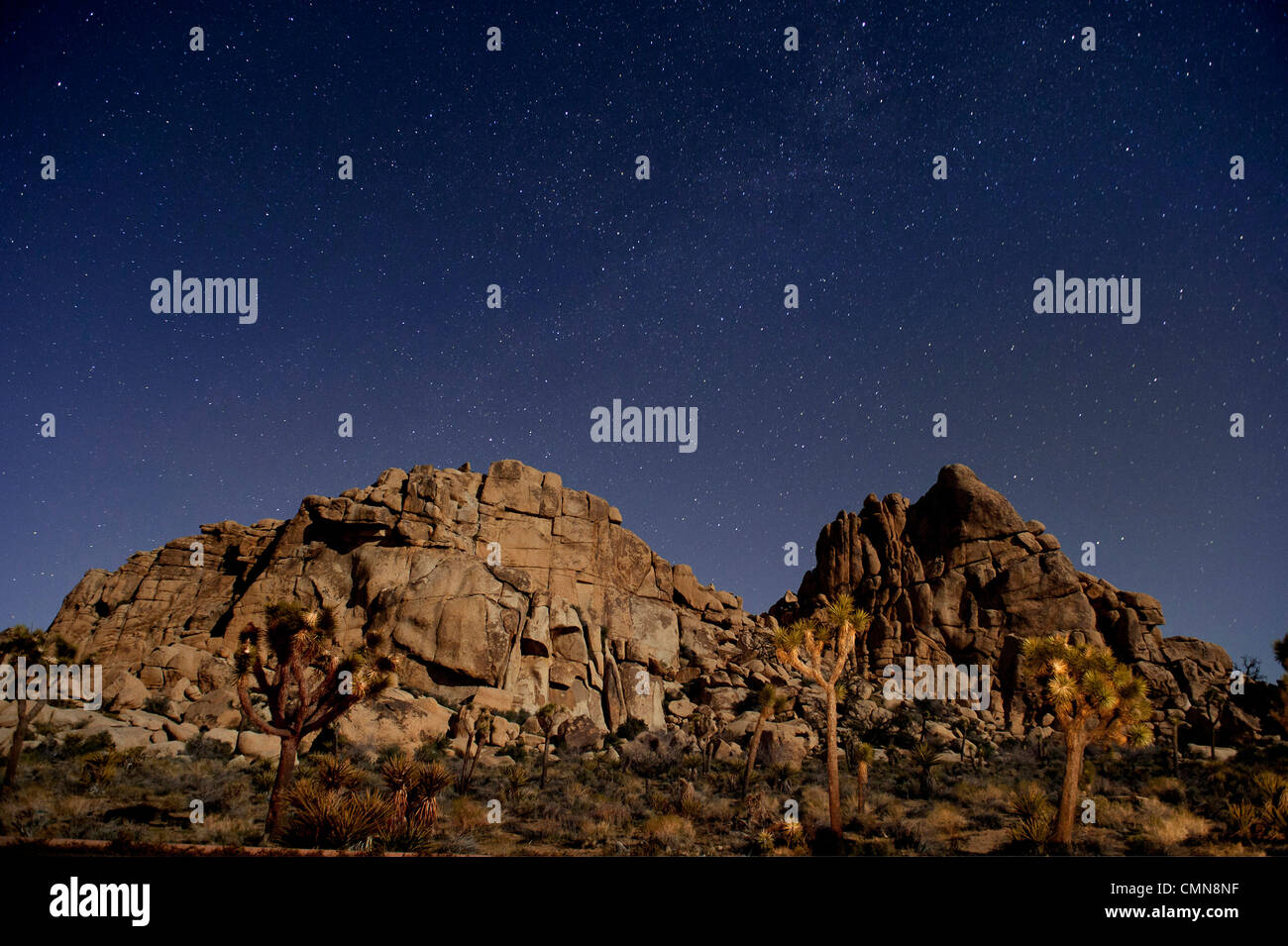 Stars in sky over desert Stock Photo - Alamy