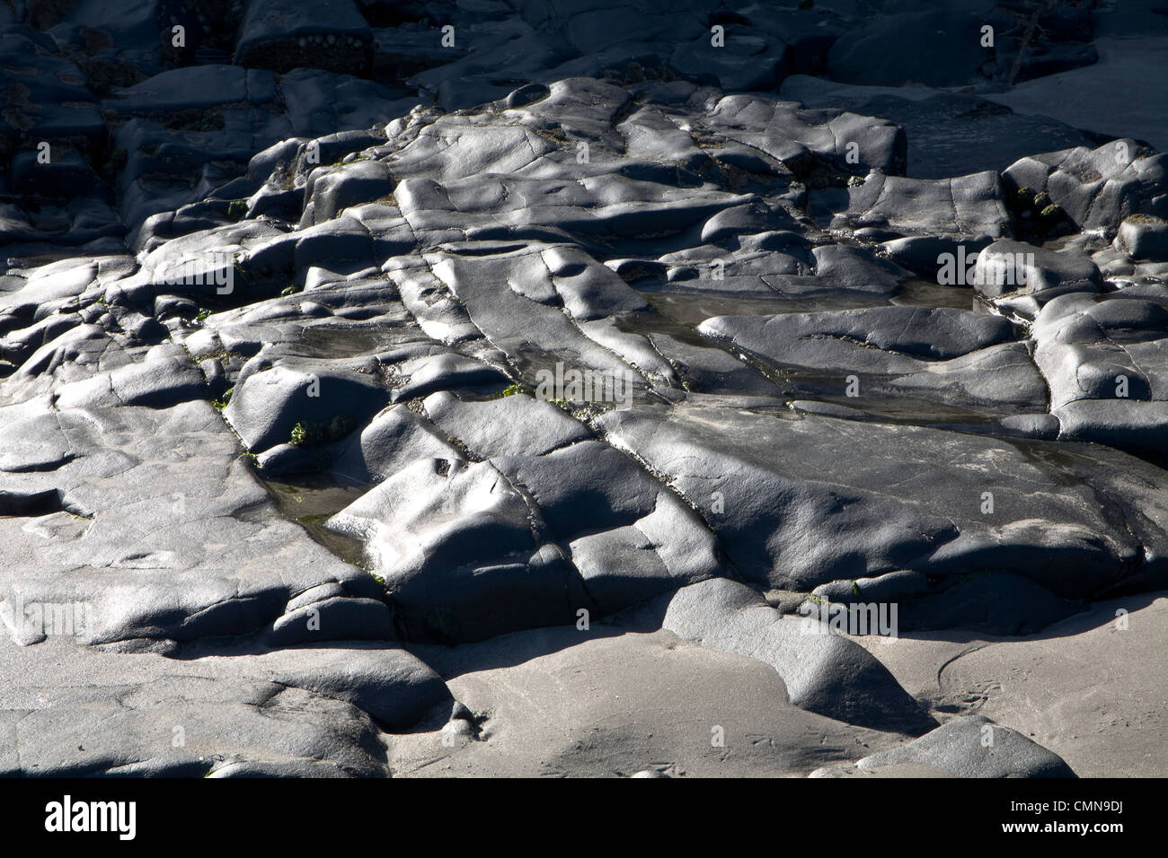 Shiny, worn rocks in bright sunlight, Craster, Northumberland Stock ...
